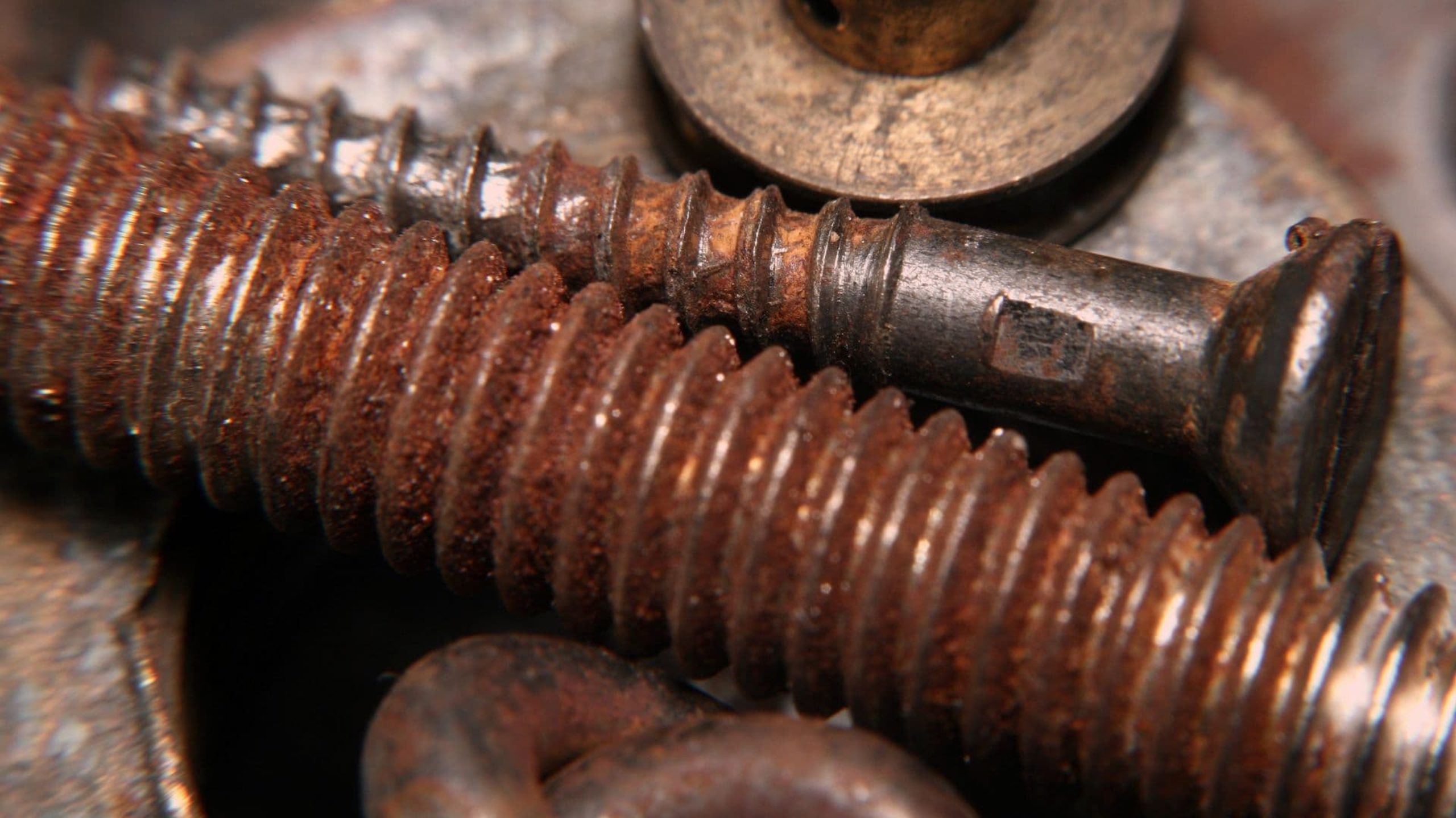 Common Types of Corrosion and Their Impact » BorTec